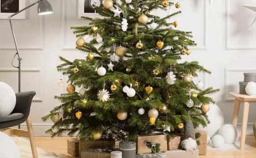 Смотрите, какая акция: живая ель в горшке на Новый год от Садового ...